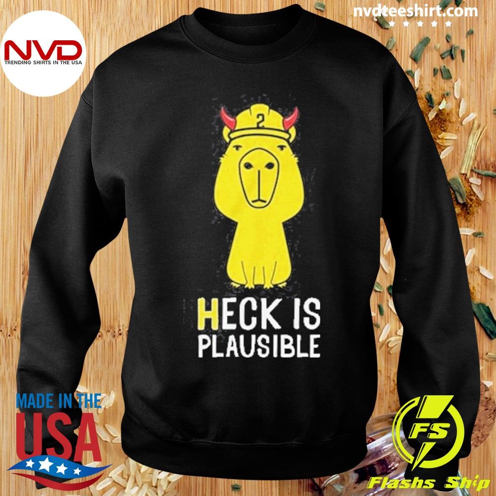 Heck Is Plausible 2023 T-shirt - NVDTeeshirt